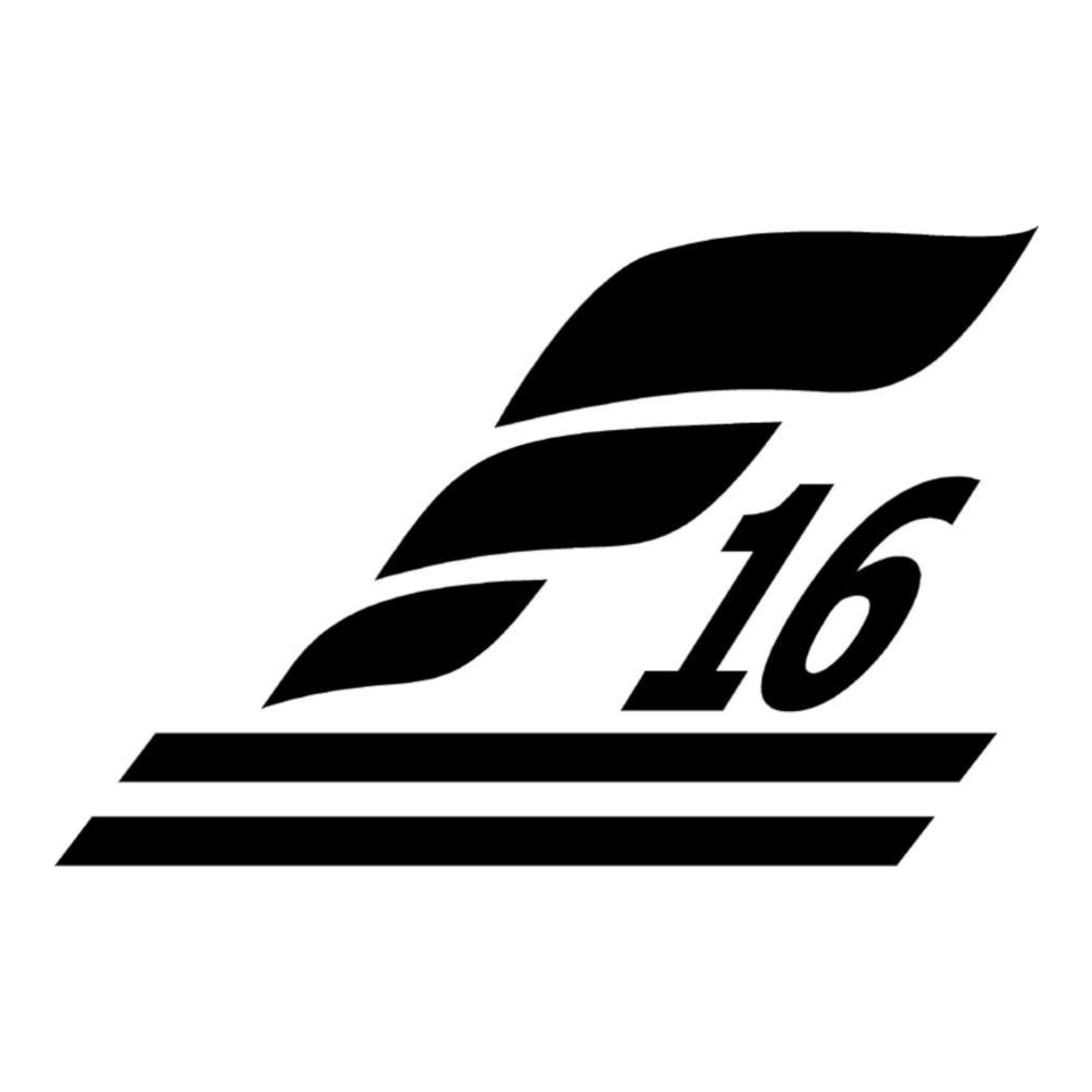 Formula 16 – 1D Sails